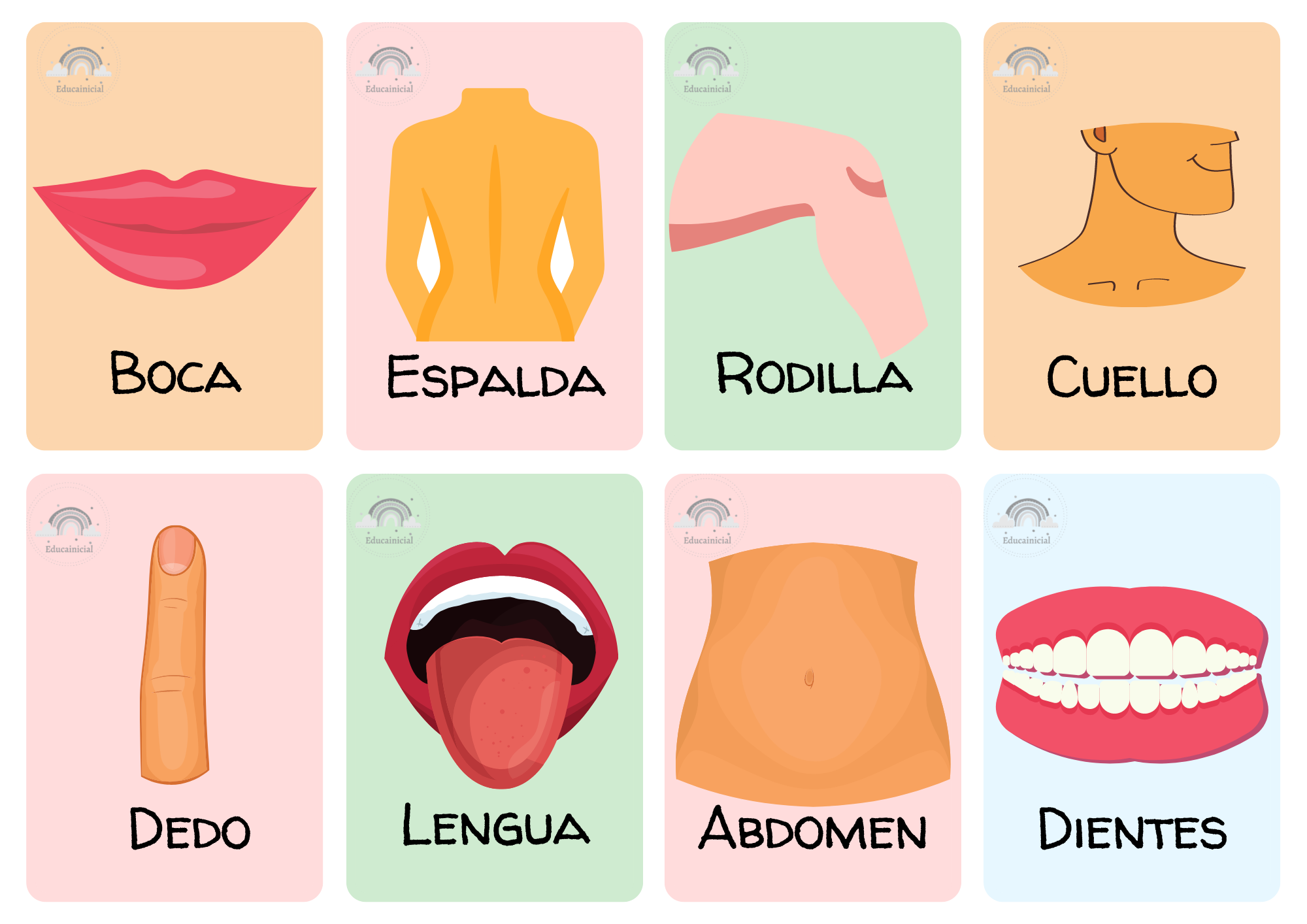 HappyGrowing.Ec, Actividad cognitiva. Jugamos el bingo de las partes ...